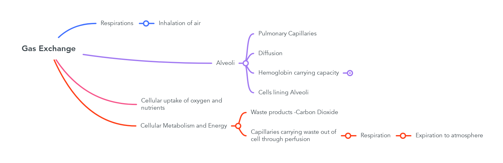 5.2 Gas Exchange Concepts – Nursing Pharmacology