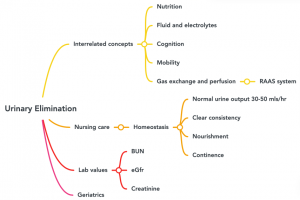 Concept Map: Renal Elimination – Nursing Pharmacology