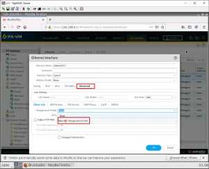 1.2 DORA the DHCP Provider – Palo Alto Firewall