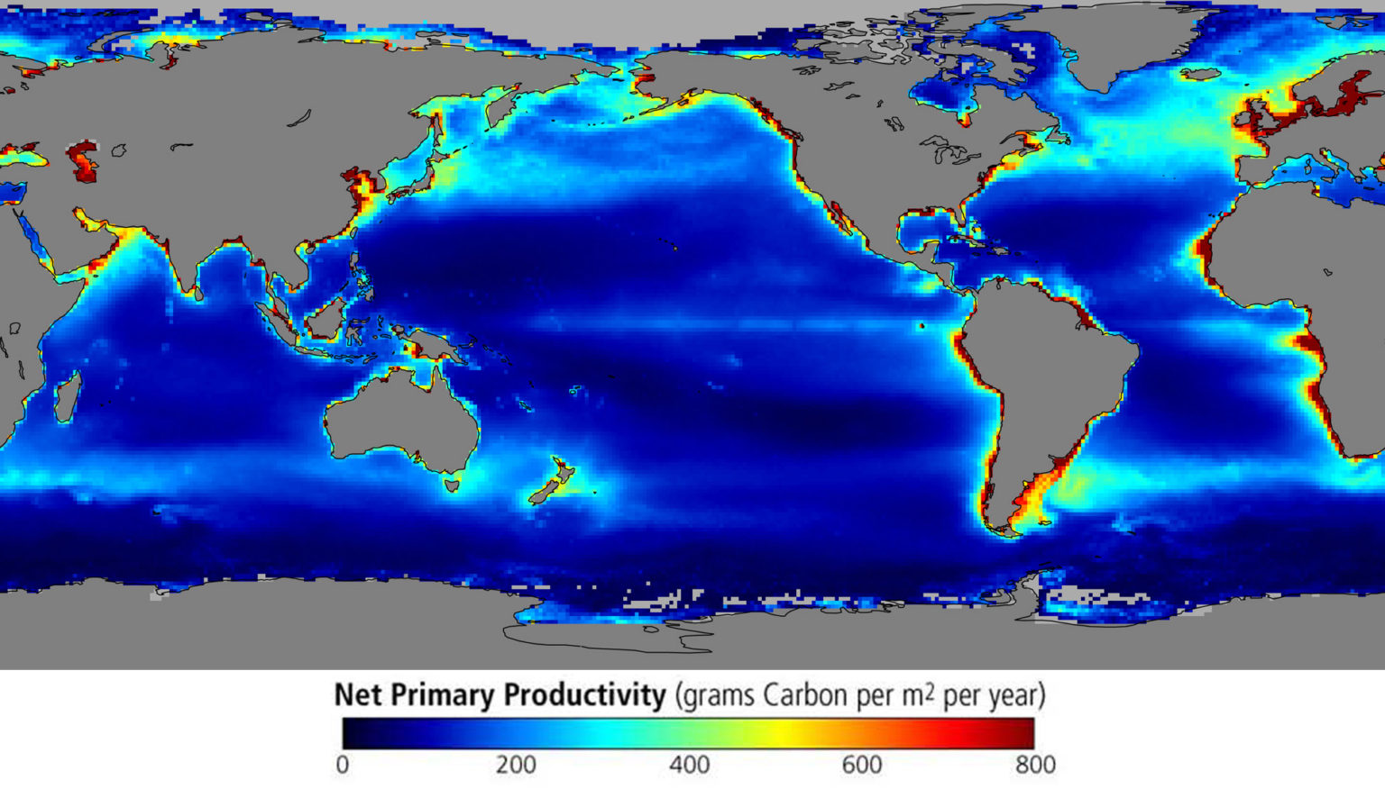 LABORATORY 10: PLANT PRODUCTIVITY AND STANDING BIOMASS – Physical ...