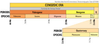 19.1 The Geological Timescale – Physical Geology – H5P Edition V1.1