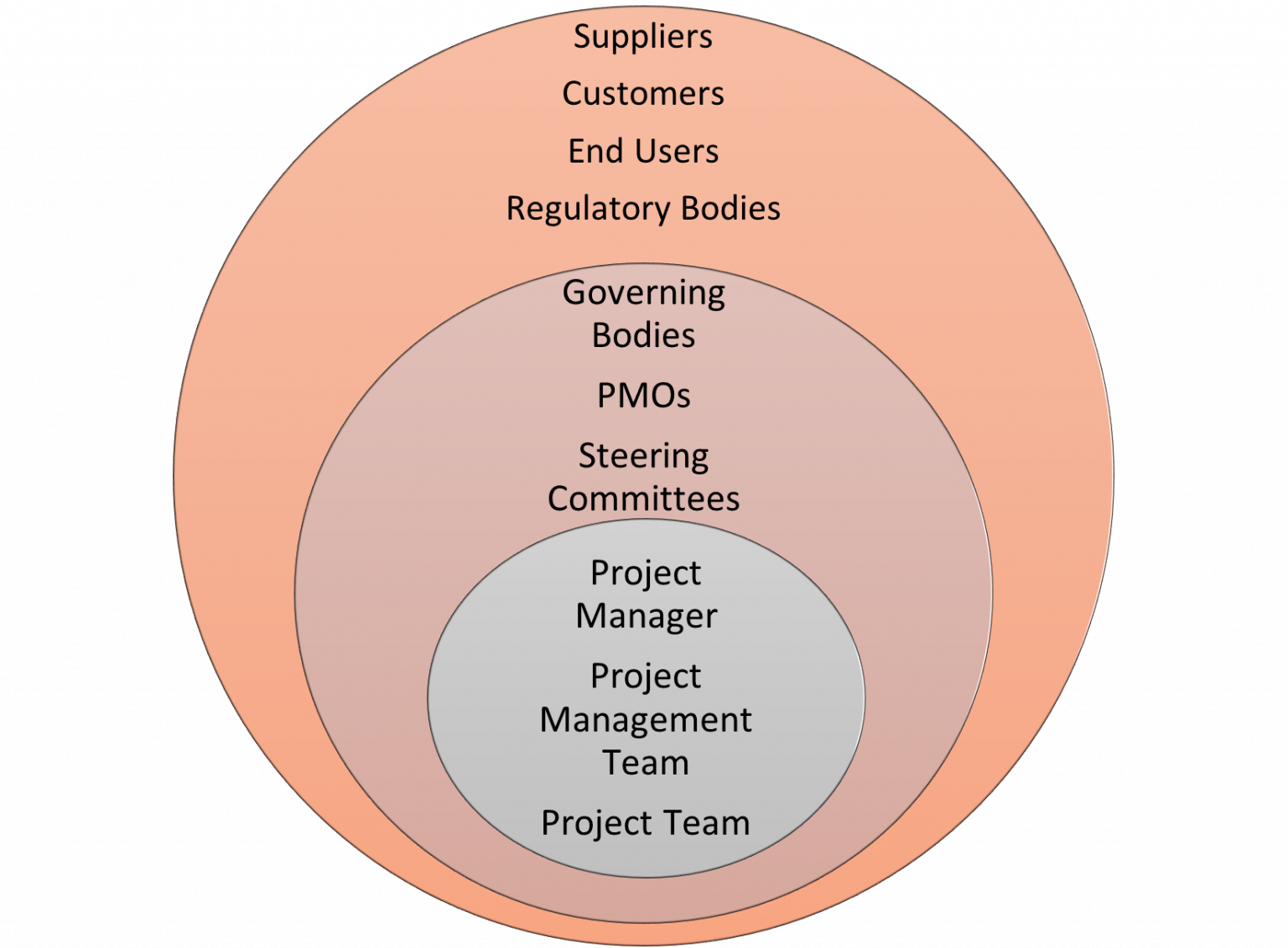 1.4 PMI – Standards for Project Management and Project Performance ...