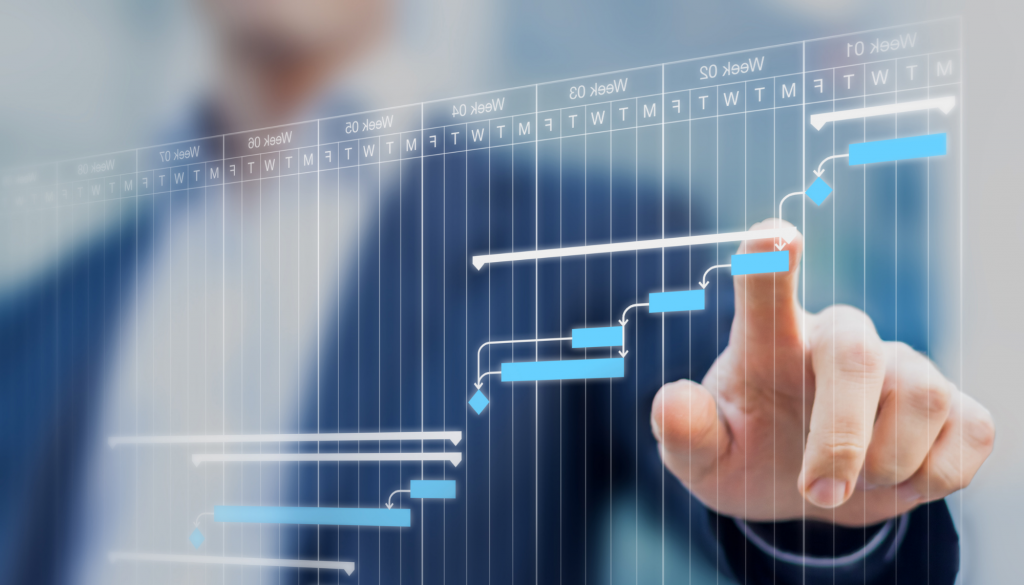 1.0 The Project Environment – Managing Project Costs, Risks, Quality ...