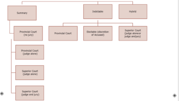 CHAPTER 2: THE CANADIAN LEGAL SYSTEM – Forensic Psychology and Law: A ...