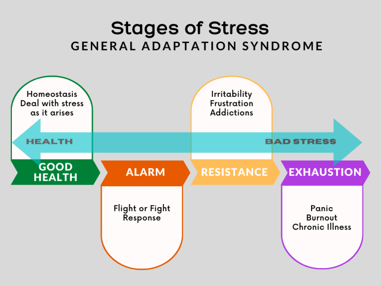 What is Stress, Really? – Stress Survival Guide – Reboot Your ...