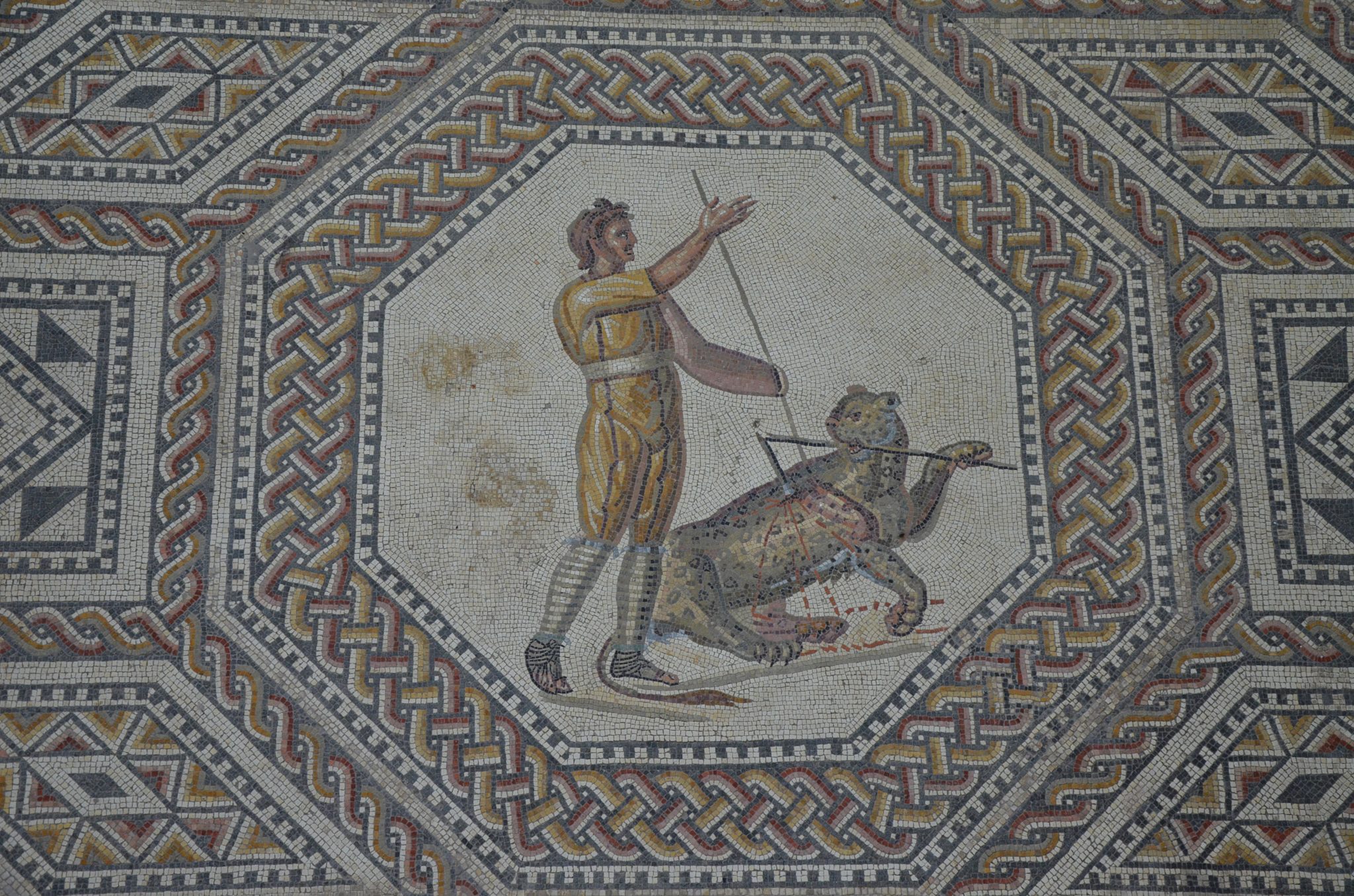 Venationes – Spectacles in the Roman World