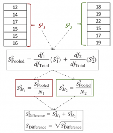 7. Independent Means t-test – Beginner Statistics for Psychology