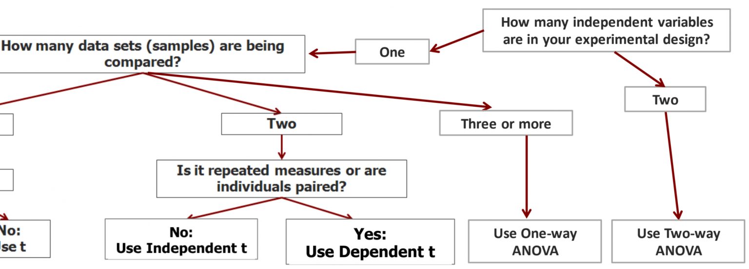 9. Factorial ANOVA and Interaction Effects – Beginner Statistics for ...