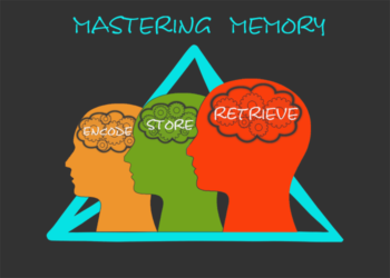 Master Your Memory – University 101: Study, Strategize and Succeed
