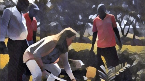 Getting Started: Building a Teaching and Learning Centre – Building a ...