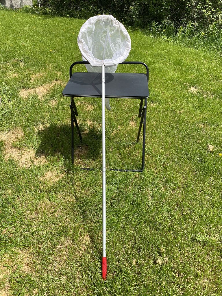 What’s in My Kit (and what do I do with it)? – UNBC BIOL 322, Entomology