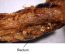 Internal Anatomy – Digestive System – UNBC BIOL 322, Entomology