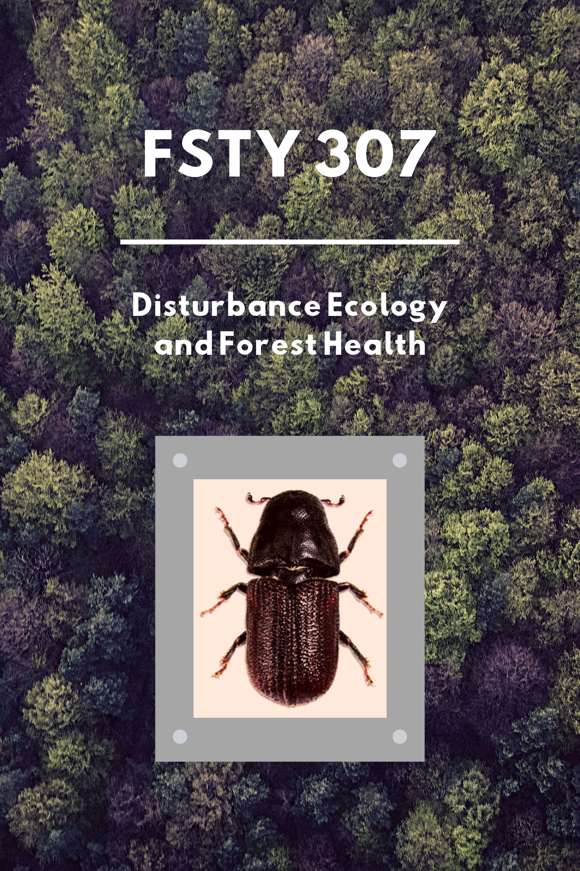 FSTY 307 – Disturbance Ecology & Forest Health – Open Textbook
